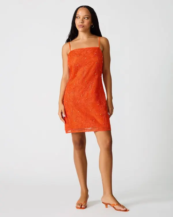 Steve Madden Maureene Dress Sleeveless Mesh Dresses