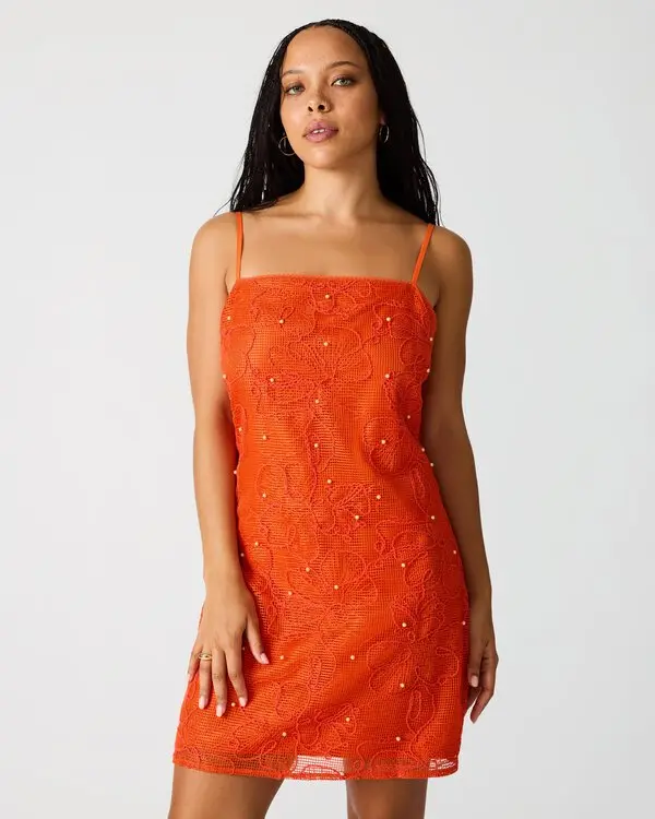 Steve Madden Maureene Dress Sleeveless Mesh Dresses