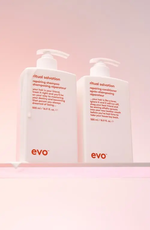Evo Ritual Salvation Repairing Buddies