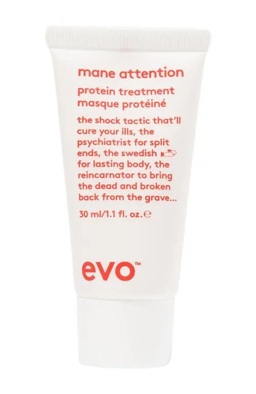 Evo Mane Attention Protein Treatment