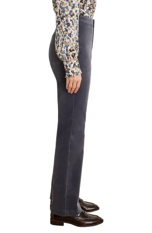 NIC+ZOE Berkeley Stretch Velvet Bootcut Pants