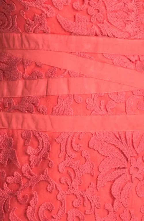Tadashi Shoji Lace & Tulle Sheath Dress