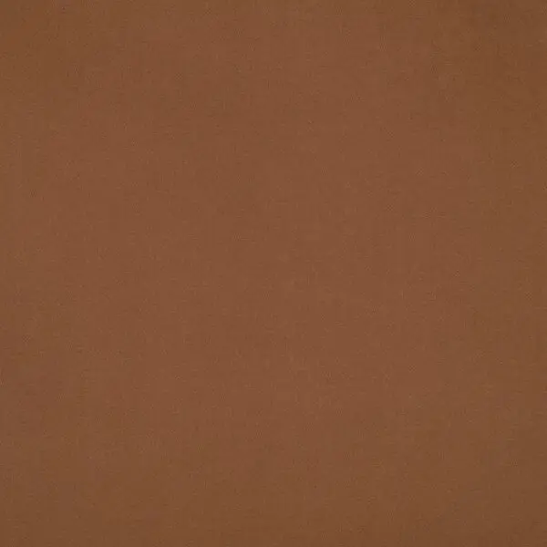 INDOCHINO Mariotto Twill Moleskin Rust Pants - Orange