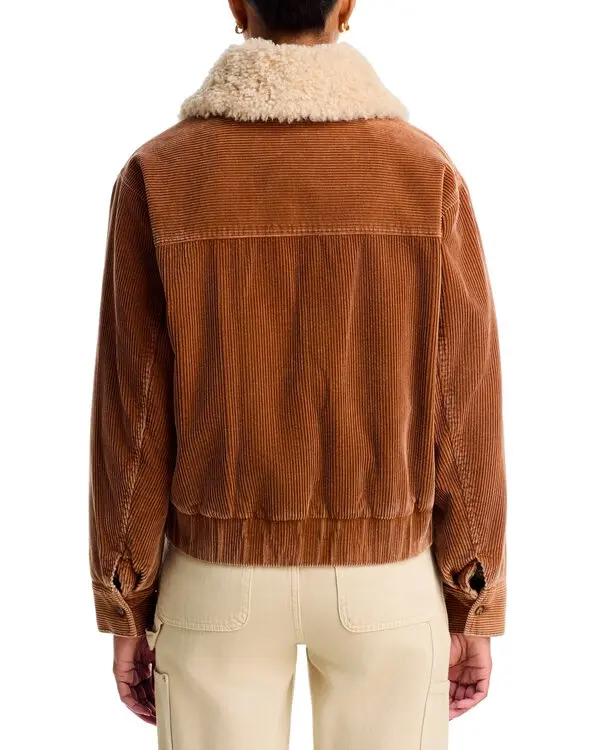 Xirena Bradley Sherpa Collar Cotton Corduroy Jacket - Camel