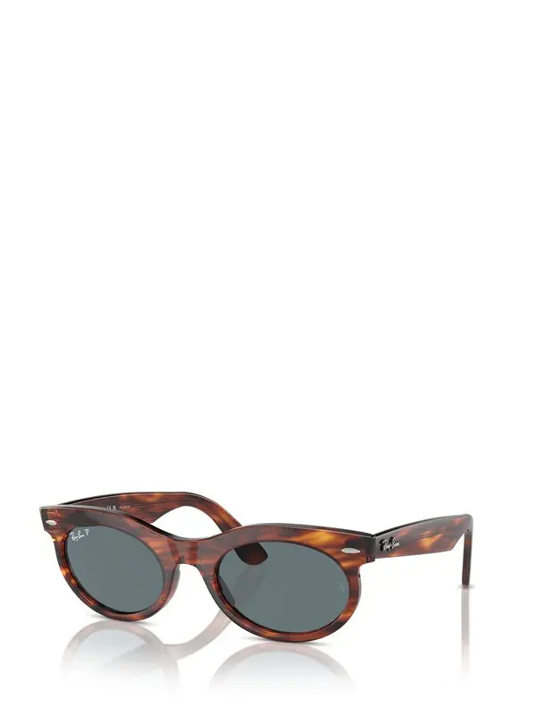 Ray-ban Full Frame Sunglasses