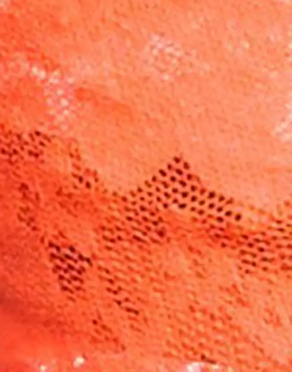 Balenciaga Fluorescent Lace Triangle Bra