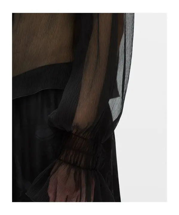 ANN DEMEULEMEESTER Palvi Sheer Chiffon Ruffle Collar Blouse