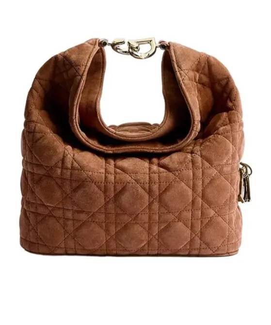 Dior Small Toujours Hobo Bag - Brown