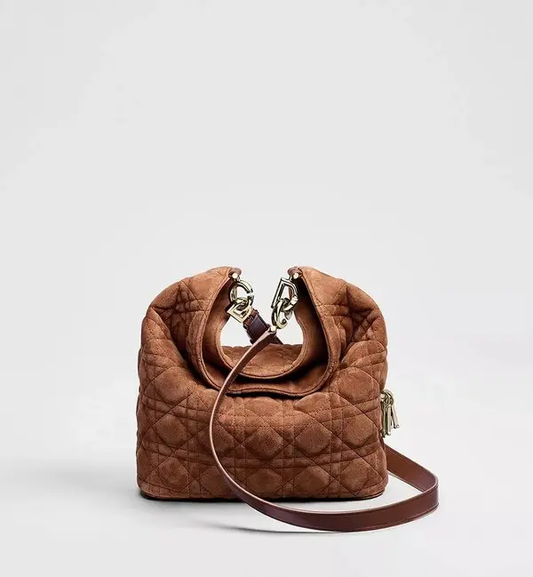 Dior Small Toujours Hobo Bag