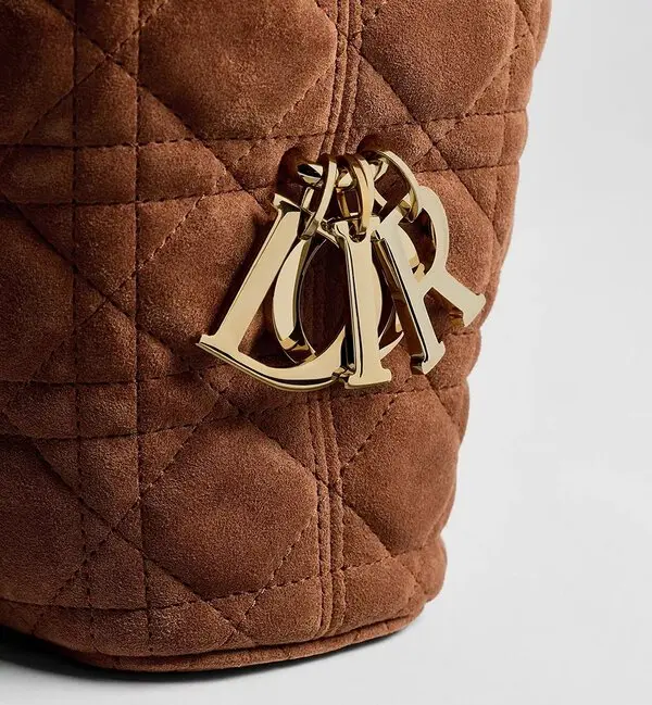 Dior Small Toujours Hobo Bag
