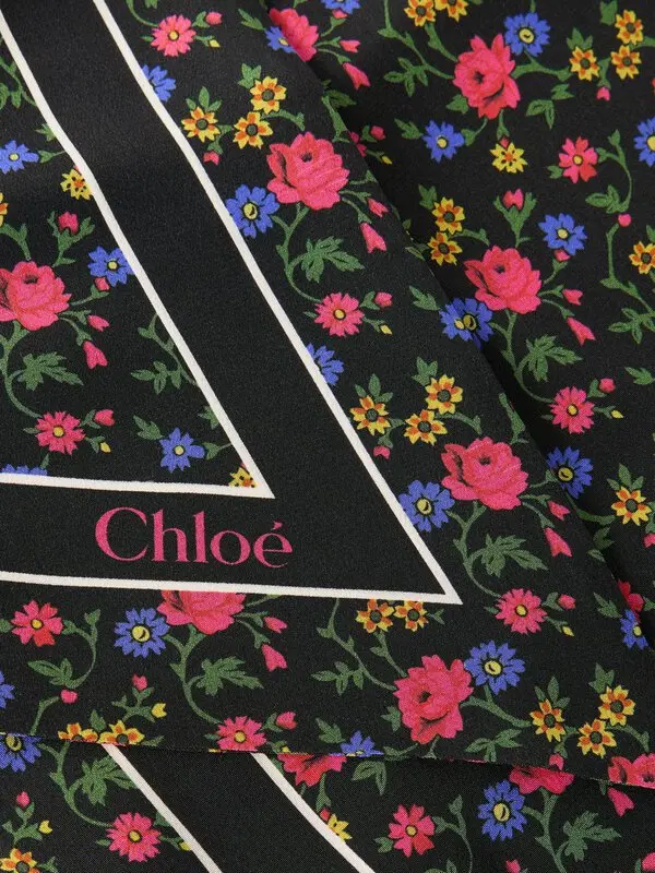 Chloé Folk Floral-printed Silk-crepe Scarf