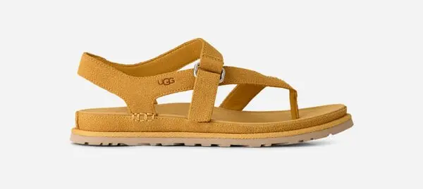 UGG Golden Gaze Toe Post Suede Sandals - Wheat Field