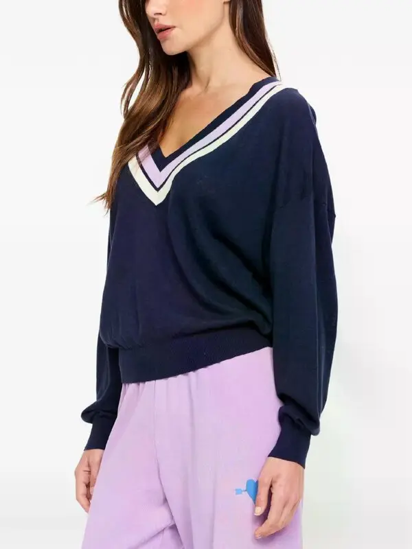 The Upside Bonita V-neck Sweater