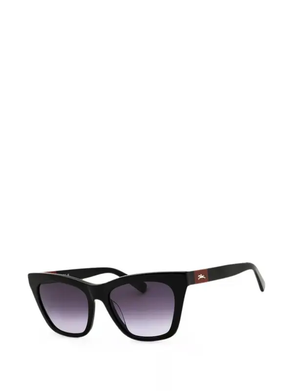 Longchamp Cat-eye Sunglasses