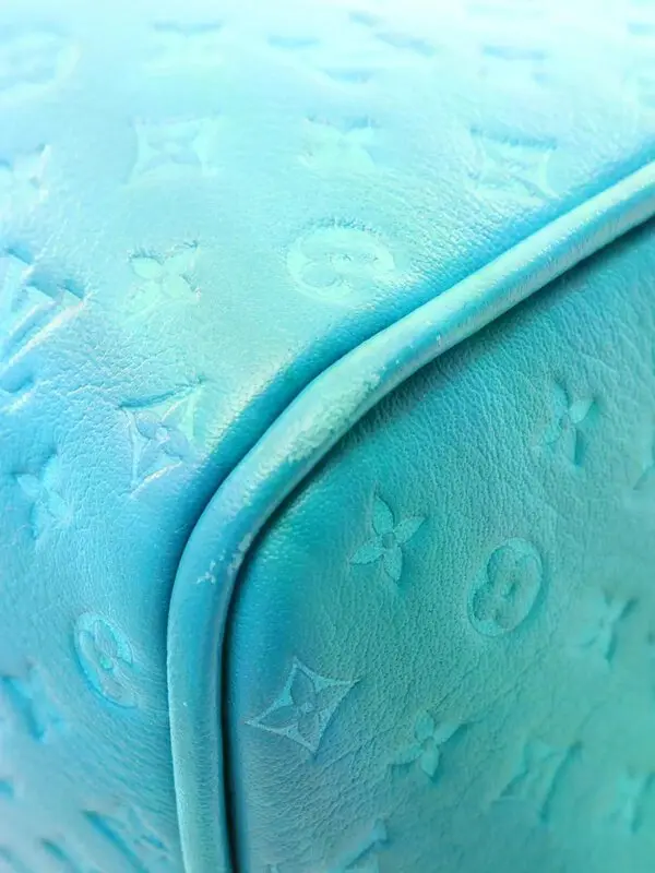 LOUIS VUITTON 2021 Speedy Nanogram Handbag