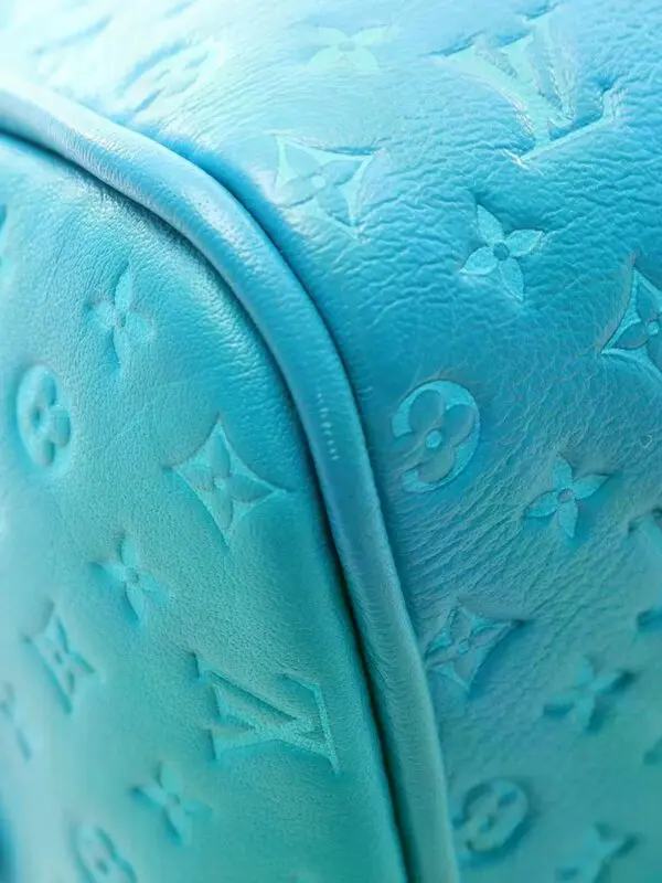 LOUIS VUITTON 2021 Speedy Nanogram Handbag