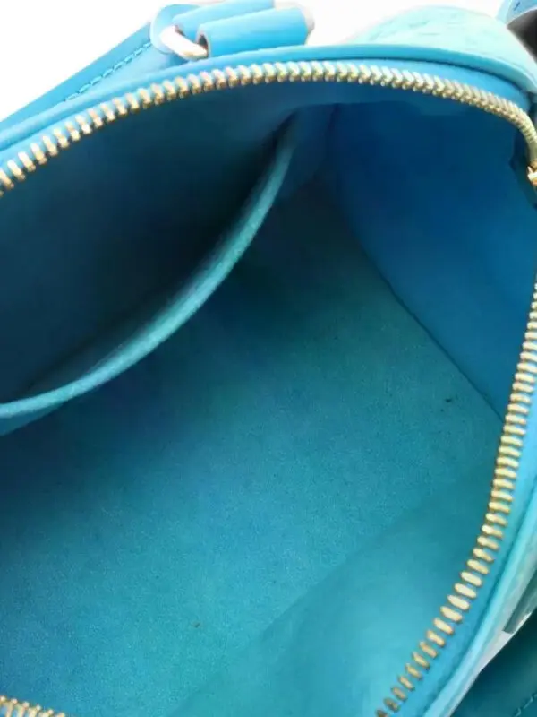 LOUIS VUITTON Monogram Speedy Nanogram Handbag