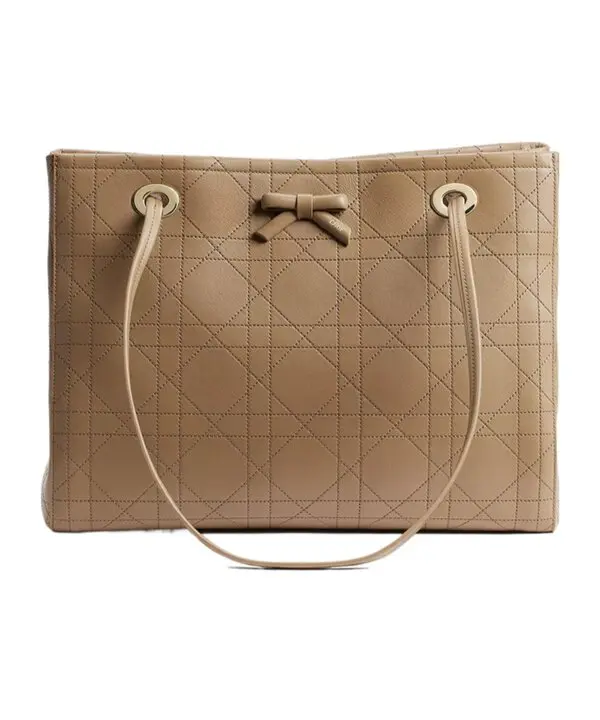 Dior Medium Promenade Shopping Bag