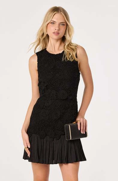 Astr The Label Berklee Lace Bodice Mini Dress