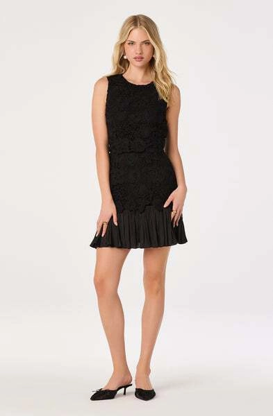 Astr The Label Berklee Lace Bodice Mini Dress