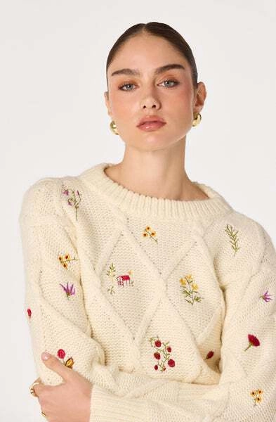 Astr The Label Rose Embroidered Diamond Knit Sweater