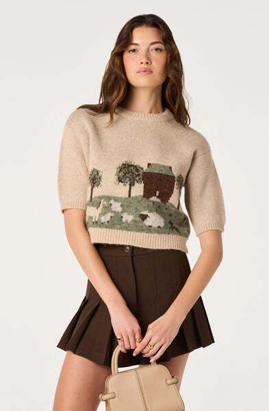 Astr The Label Colette Intarsia Short Sleeve Sweater - Oatmeal