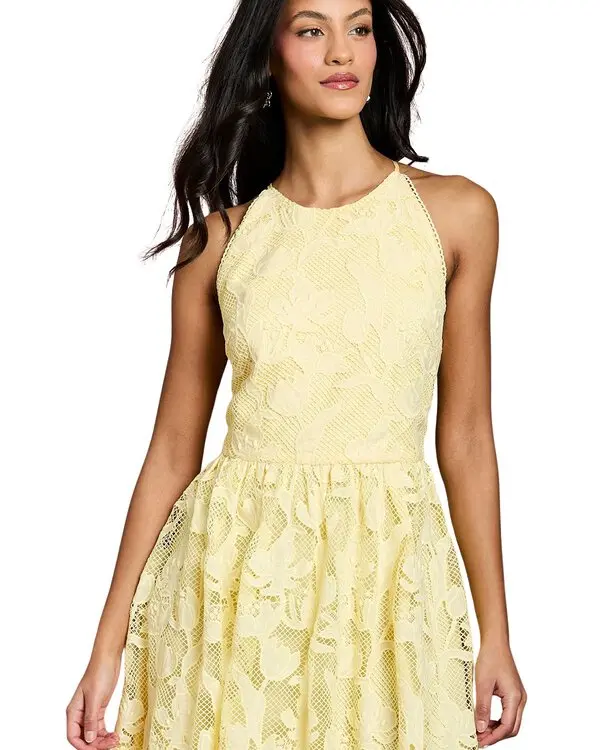 Coast Petite Halterneck Lace Midi Dress - Butter
