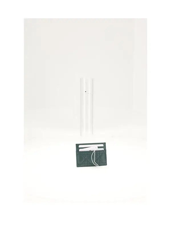 Dior Small Shape Card Holder - Multicolor