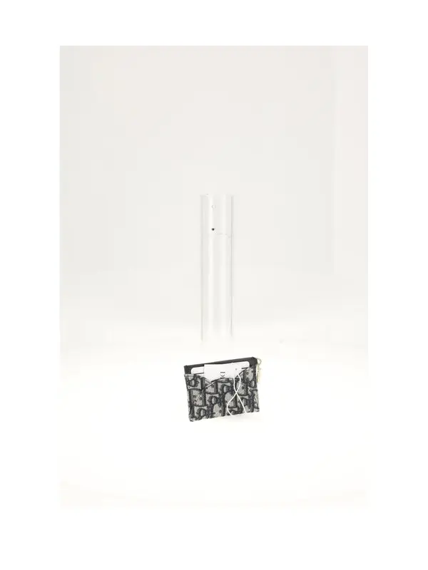 Dior Pouch Oblique