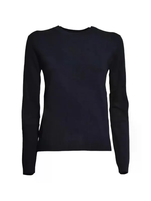 Max Mara Crew-neck Long-sleeve Sweater - Blue