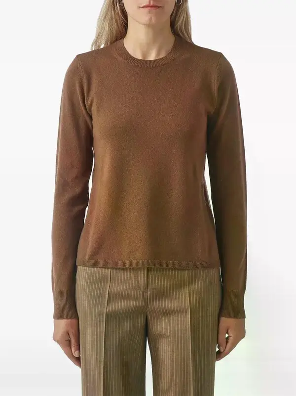 Max Mara Crew Neck Long Sleeve Sweater - Brown