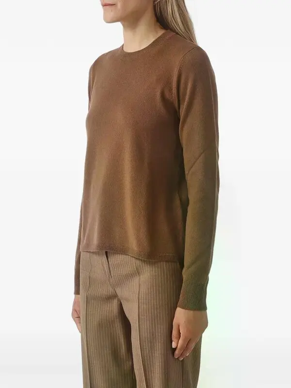 Max Mara Crew Neck Long Sleeve Sweater - Brown