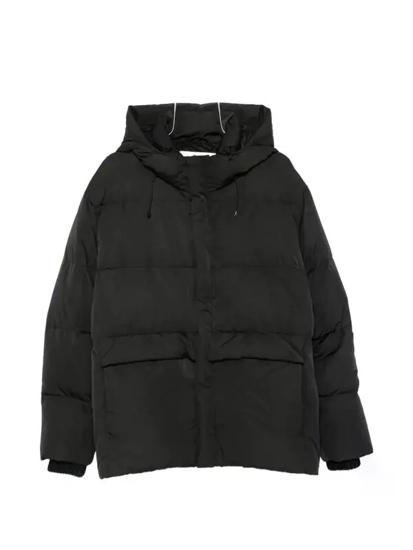 Iceberg Hooded Puffer Jacket With Logo Embroidery