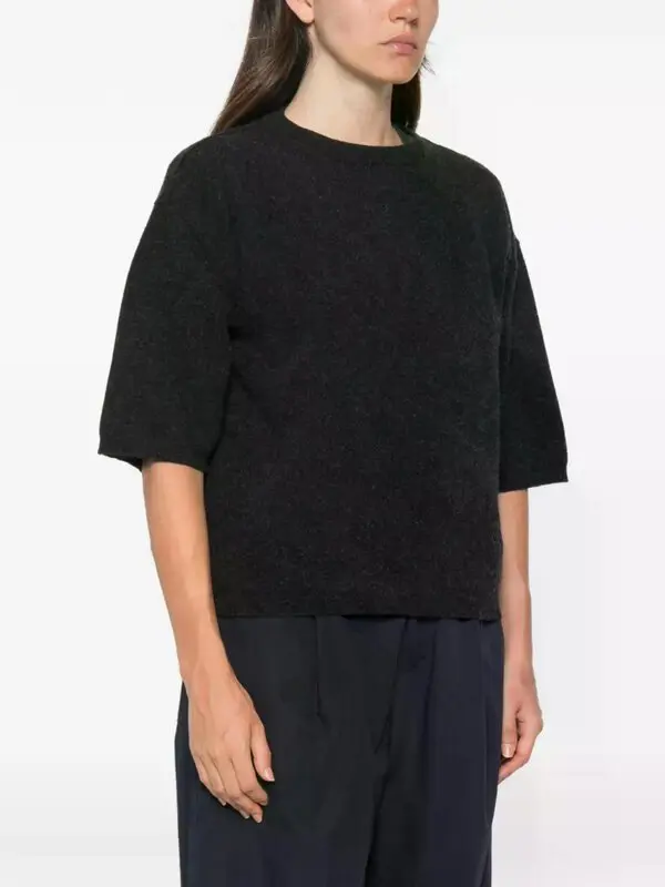 Sofie D'hoore Short-sleeve Crew-neck Sweater
