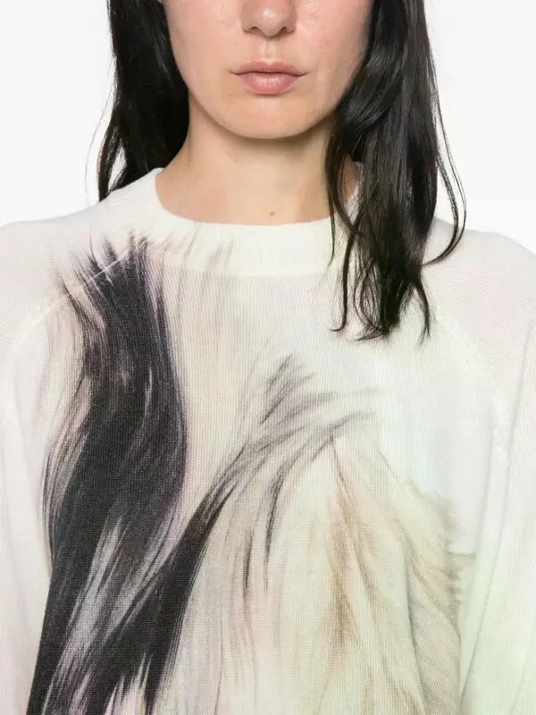 PSOPHIA Graphic Print Raglan Sleeve Sweater