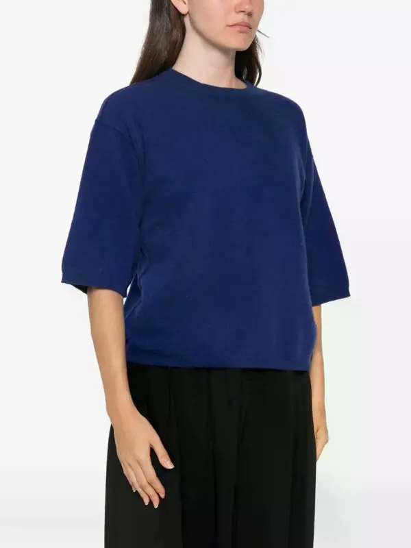 Sofie D'hoore Short-sleeve Crew-neck Sweater