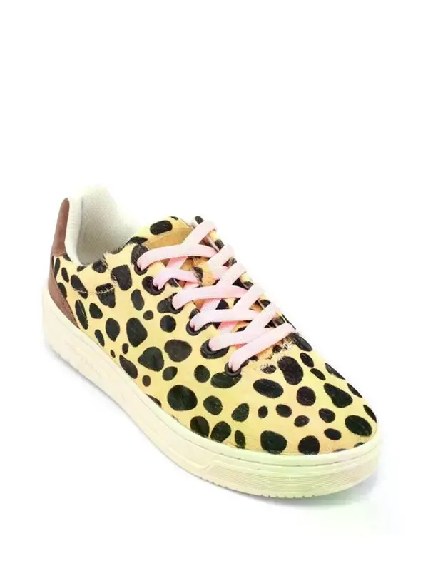 Scotch & Soda Leopard-print Low-top Sneakers - Neutrals