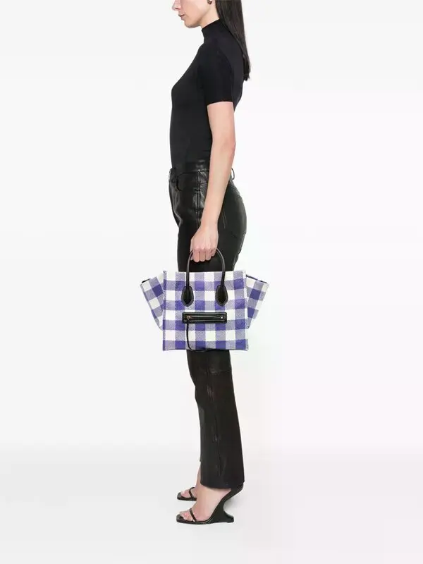 Celine 2014 Medium Gingham Raffia Luggage Phantom Tote Bag - Blue
