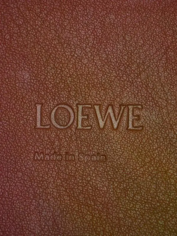 Loewe 2010-2026 Mini Raffia Hammock Hobo Satchel