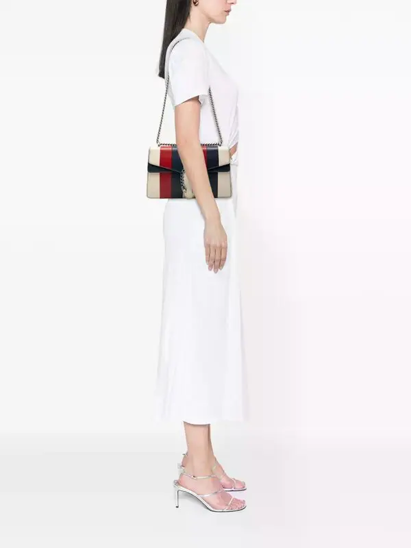 Gucci 2016-2026 Medium Striped Calfskin Dionysus Shoulder Bag