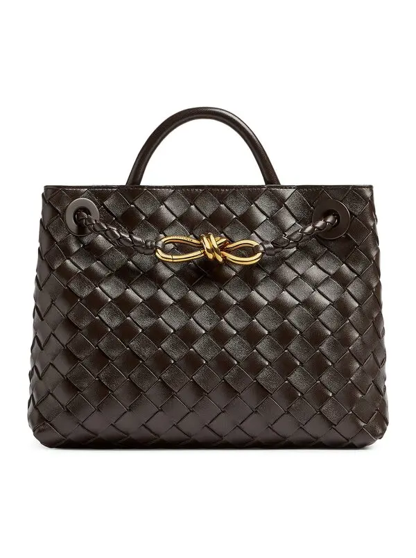 Bottega Veneta Small Andiamo Bag
