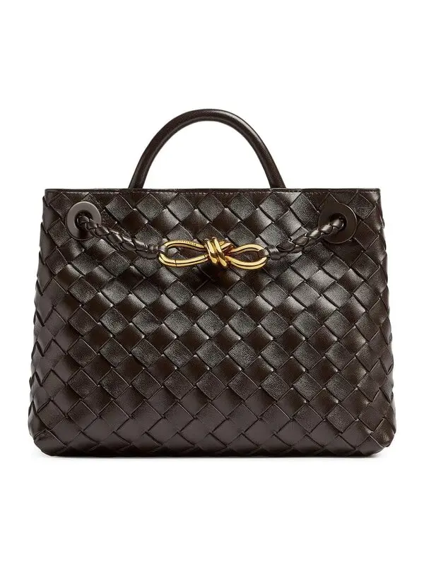 Bottega Veneta Small Andiamo Bag - Brown