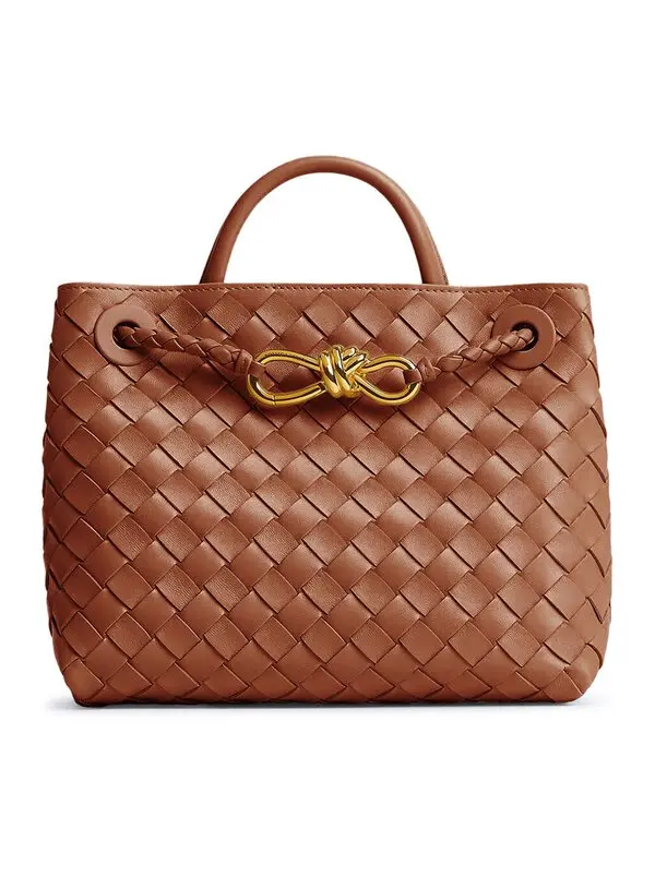 Bottega Veneta Andiamo Small Bag
