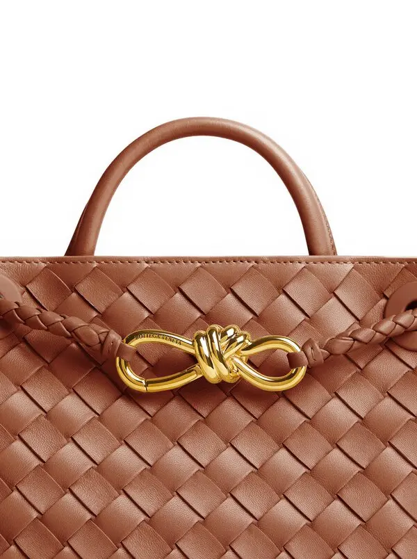 Bottega Veneta Andiamo Small Bag