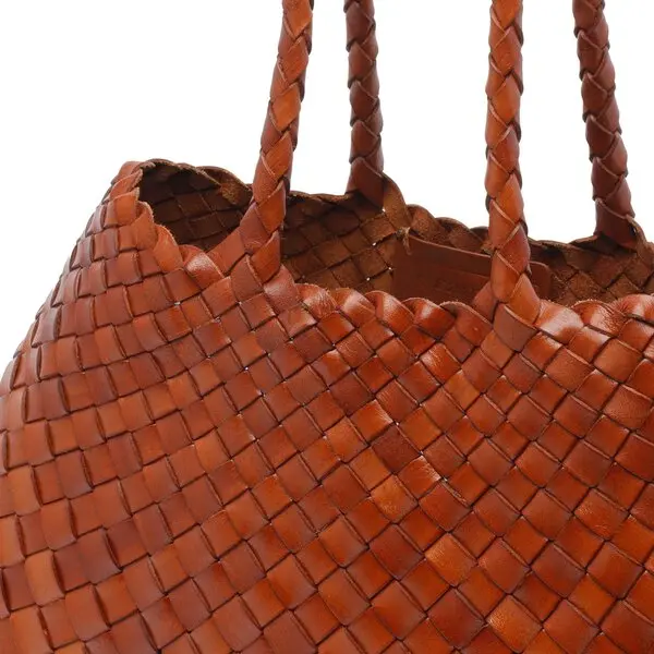 Dragon Diffusion Small Santa Croce Handbag