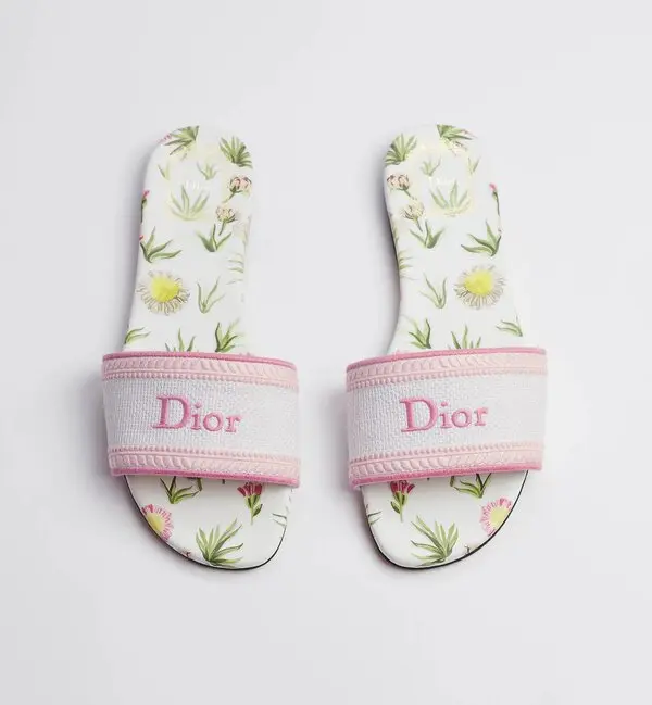 Dior Dway Slide