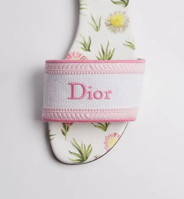 Dior Dway Slide