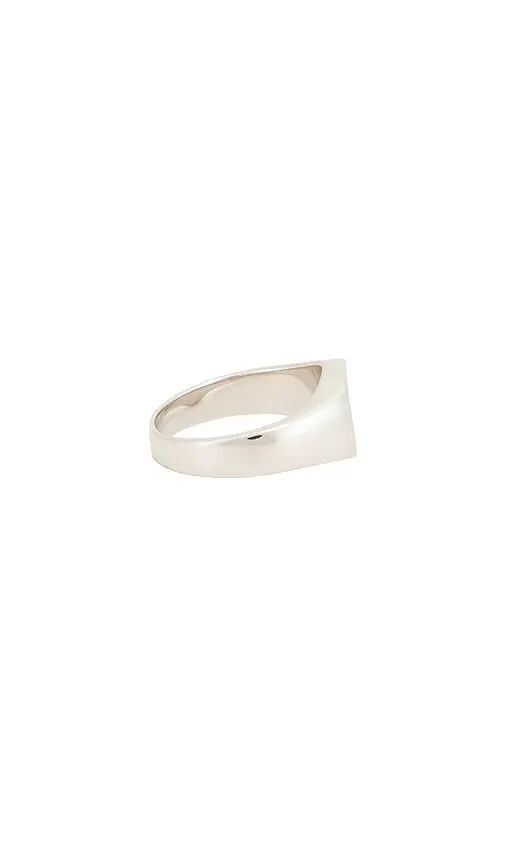 SERGE DENIMES Signet Ring In Metallic
