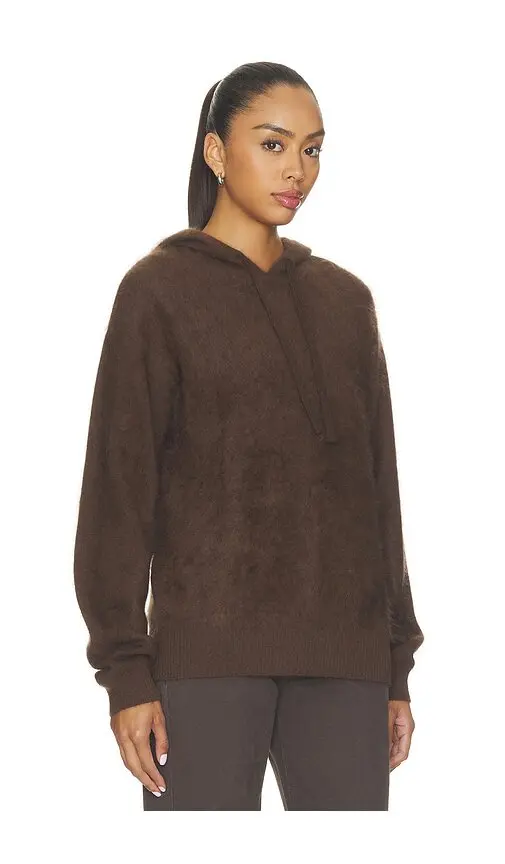 ALIGNE Illaria Brushed Wool Hoodie In Brown