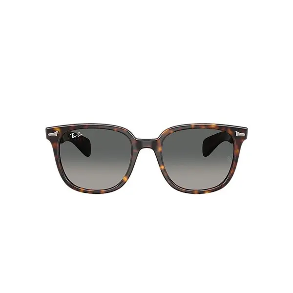 Ray-ban Brunel Ii Sunglasses Frame Green Lenses - Havana